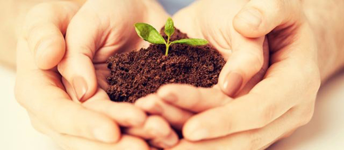 Ontdek Het Element Aarde: Volledig Astrologisch Profiel